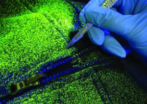 How does SmartWater by DeterTech work? - Info by Club Insure